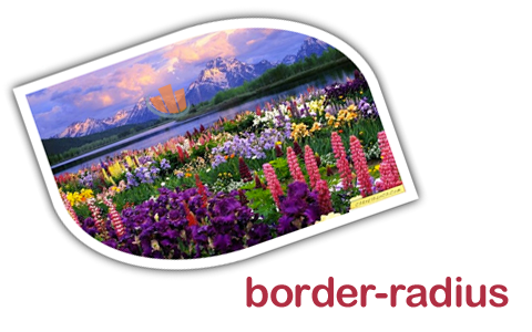 Membuat Style Border Melengkung HTML | Oshable - belajar ngeblog