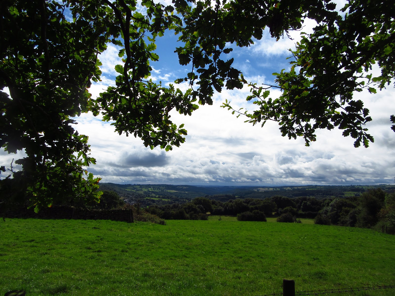 Bunny Mummy: Hilly Fields