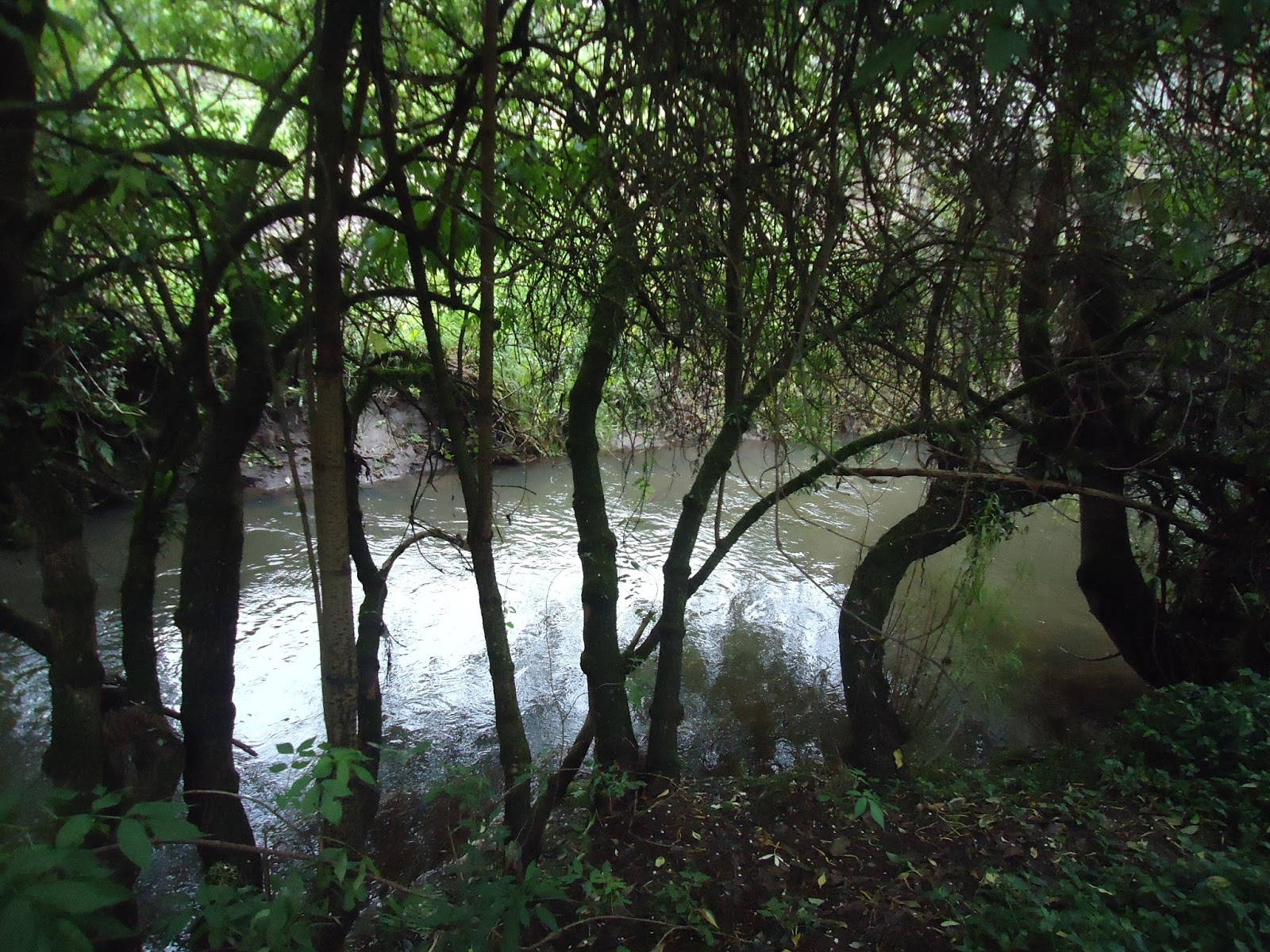 suramericarro: PASEOS EN CICLA ALREDEDOR DE CHÍA