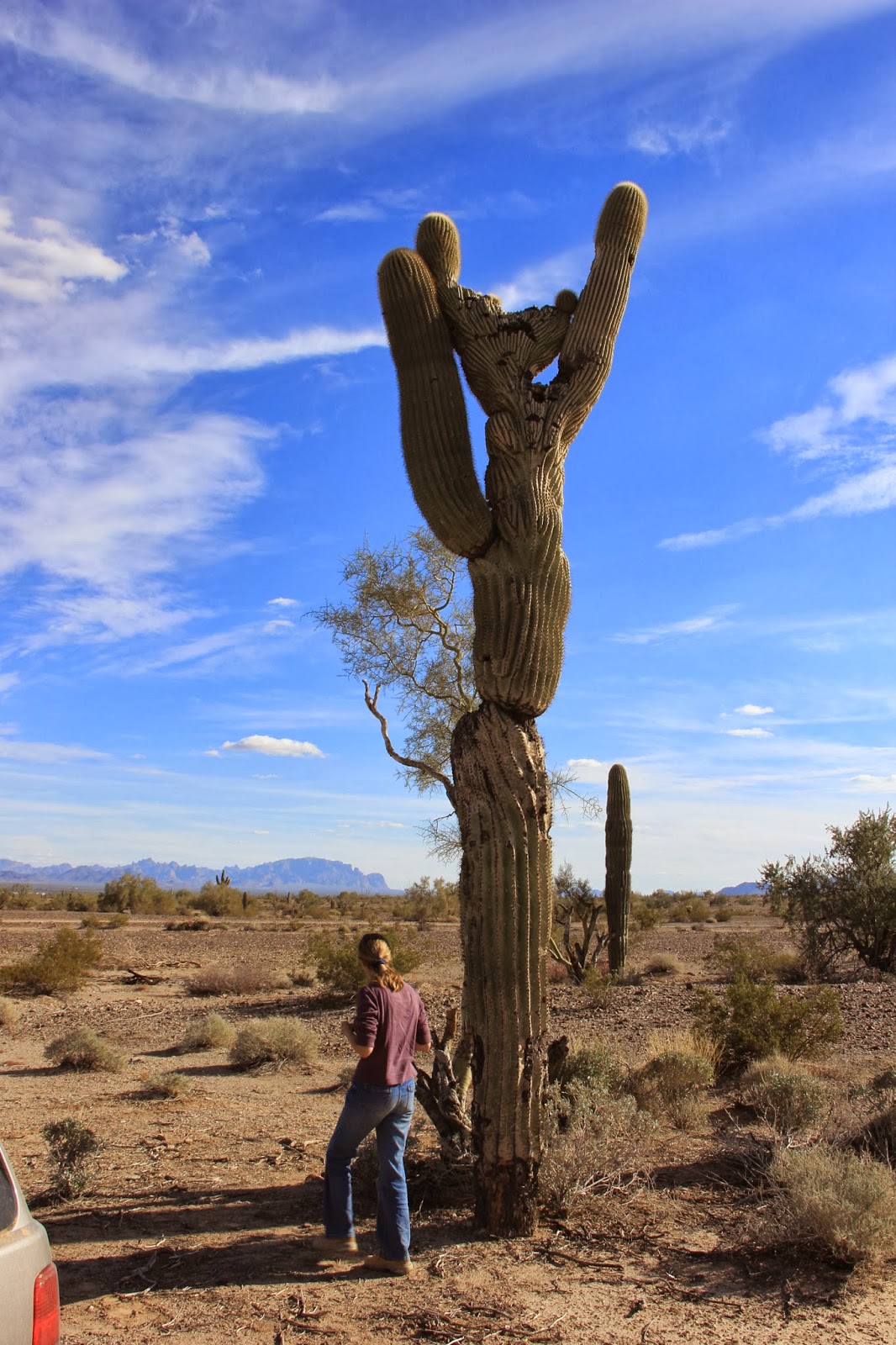 Follow Us In Our Travels