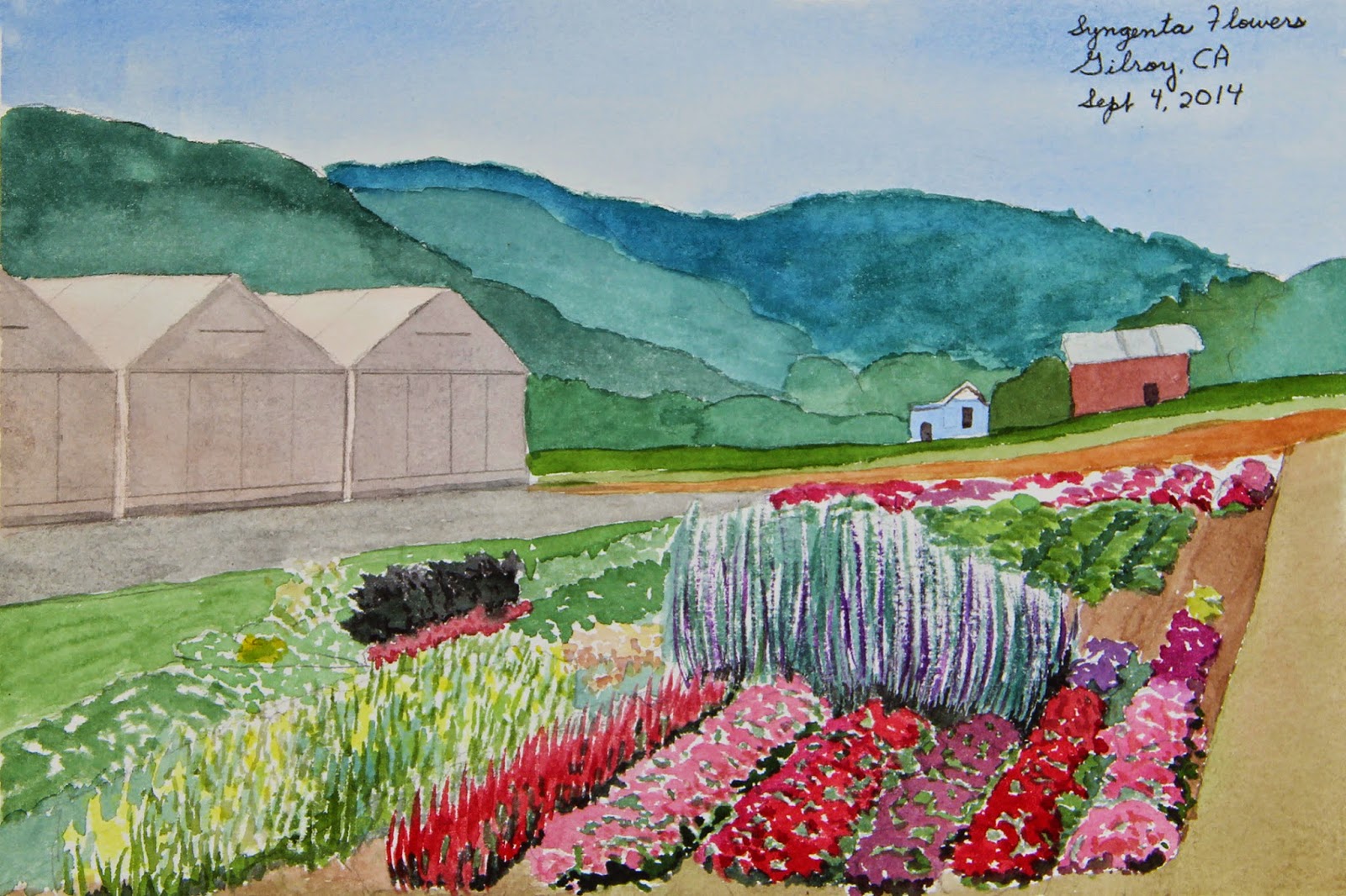 Paintsites Blog: Syngenta Flowers (formerly Goldsmith Seeds), Gilroy ...