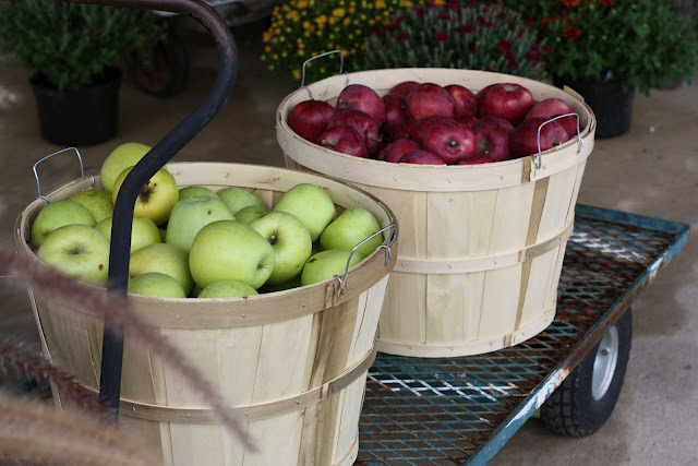 Apple Recipe Roundup | 17 Apart