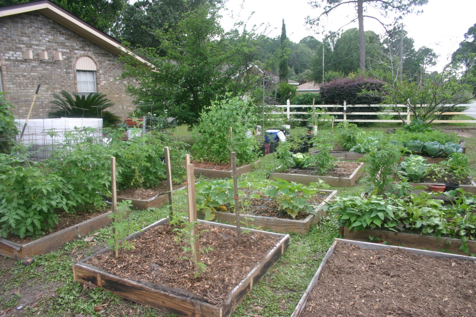 Homestead Life: Square Foot Gardening