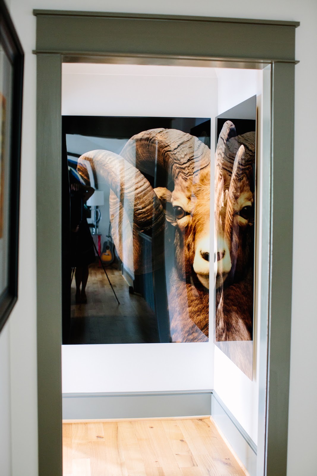 i suwannee: the real raleigh :: dustin patrick smith and burton buffaloe