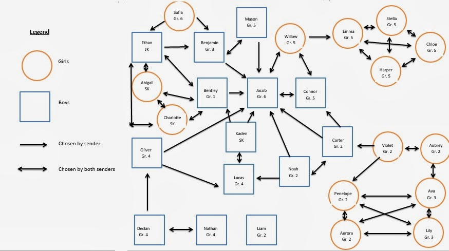School Age Experience: Sociogram Assignment