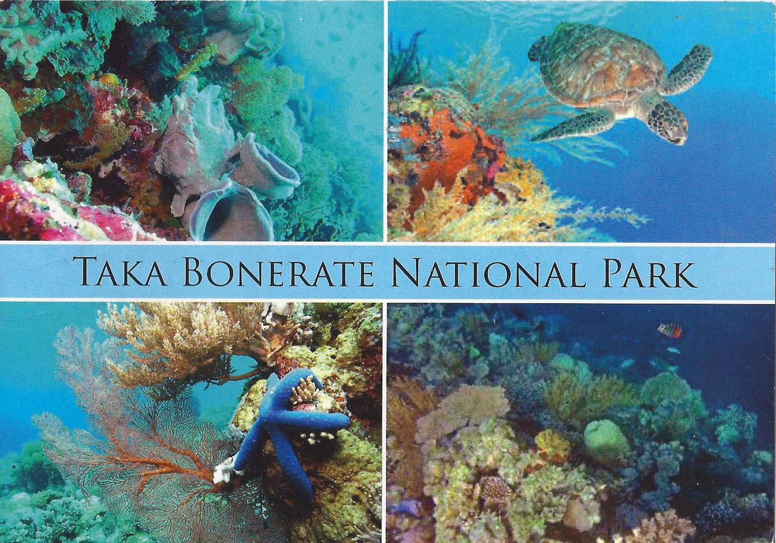 A Journey of Postcards: Taka Bonerate National Park | Indonesia