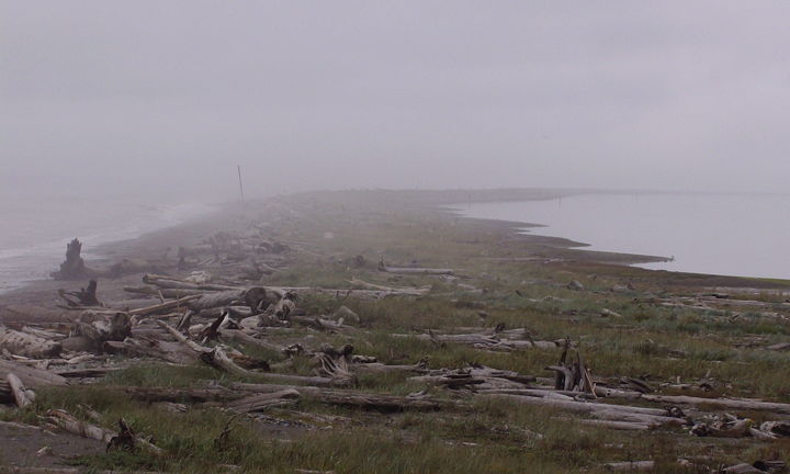 Southern Rockies Nature Blog: September 2013