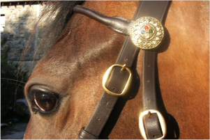 Detecting Saxapahaw: Colonial Bit Boss and other Horse Accessories