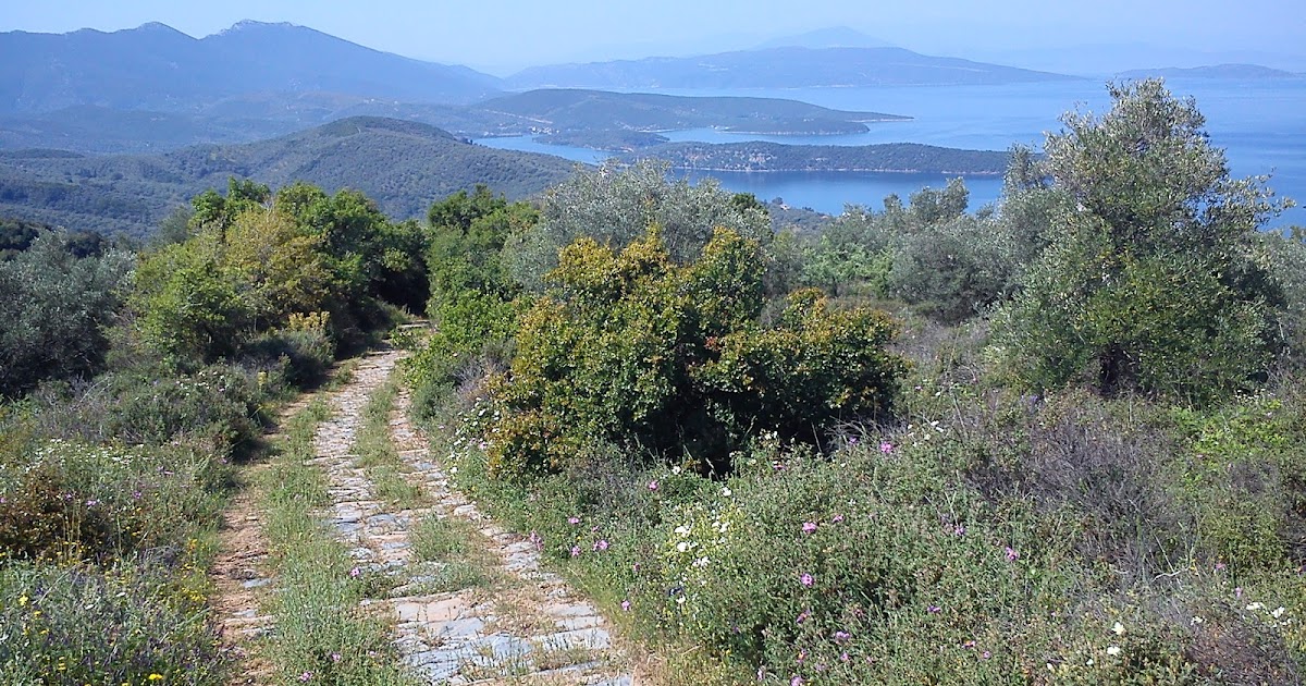 Walking in Pelion: Milina-Lafkos