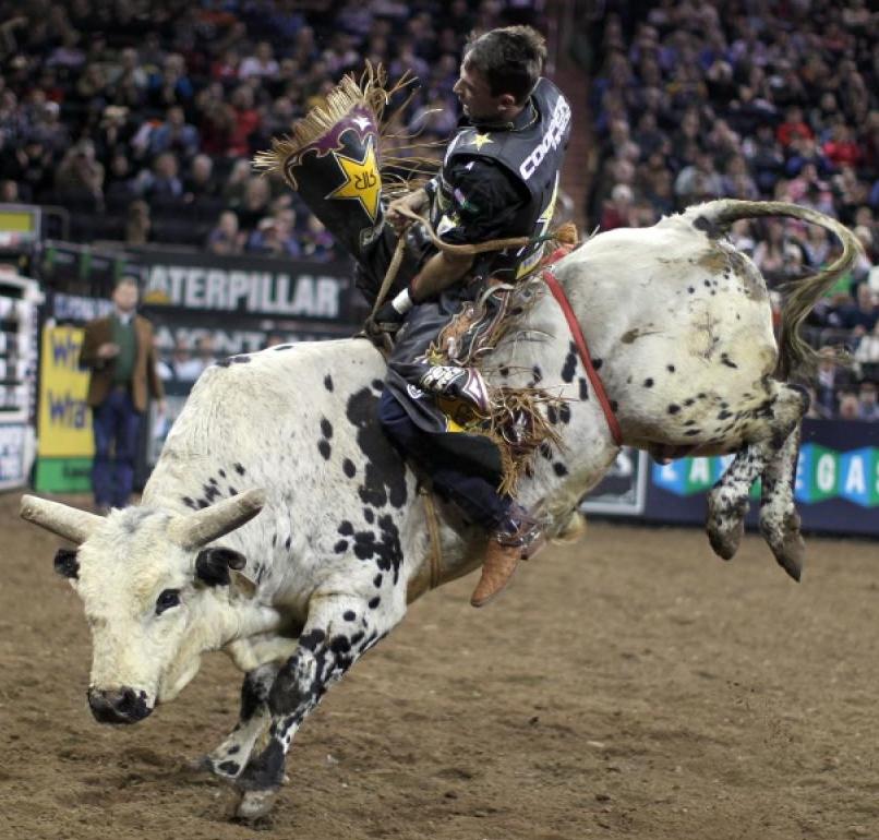 Teotihuacan en línea: Professional Bull Riders montarán toros en la ...