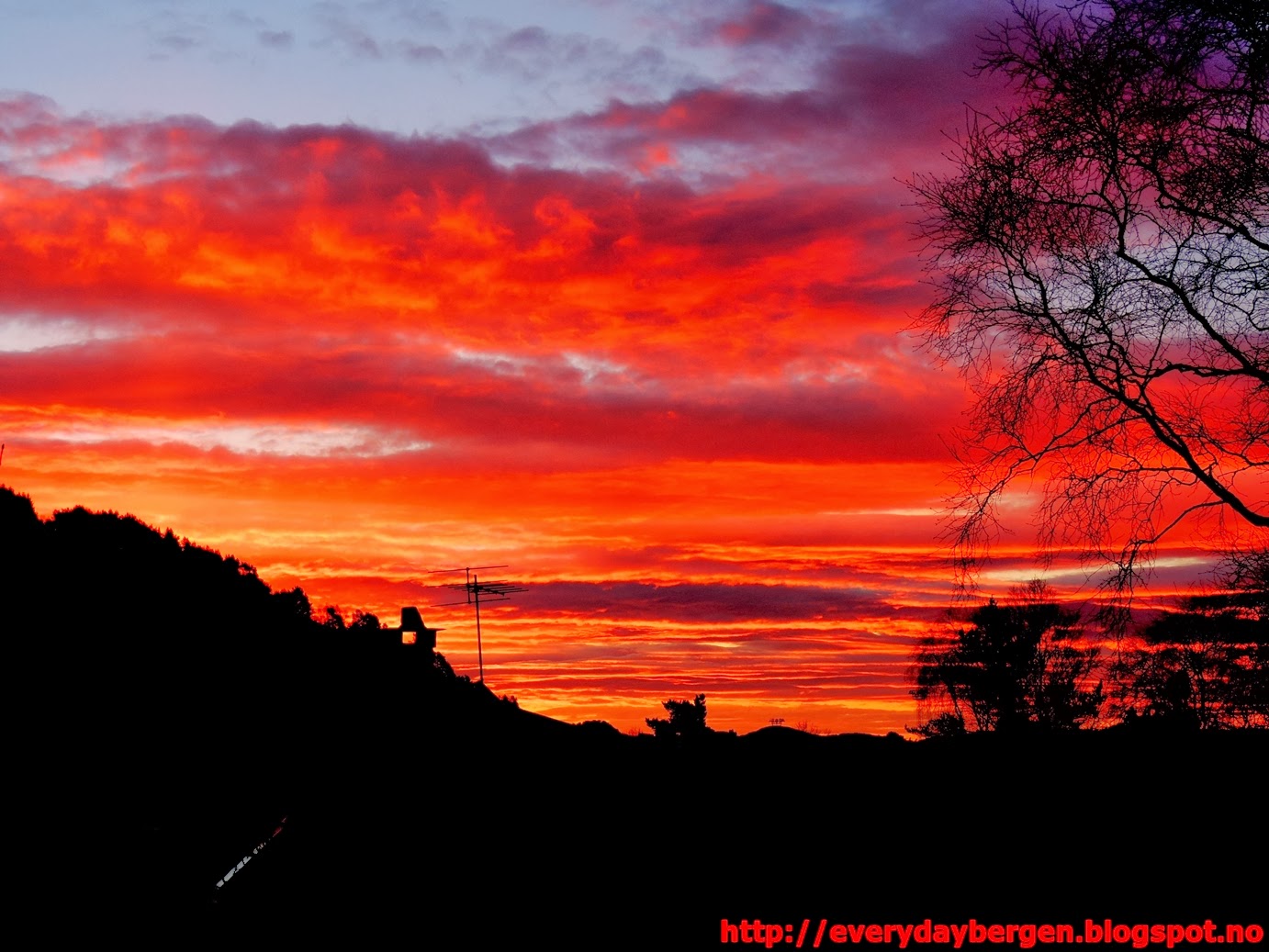 Under The Blood Red Sky
