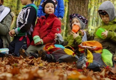 School Outdoor Learning - SOuL: The 5 Key Elements to Successful ...