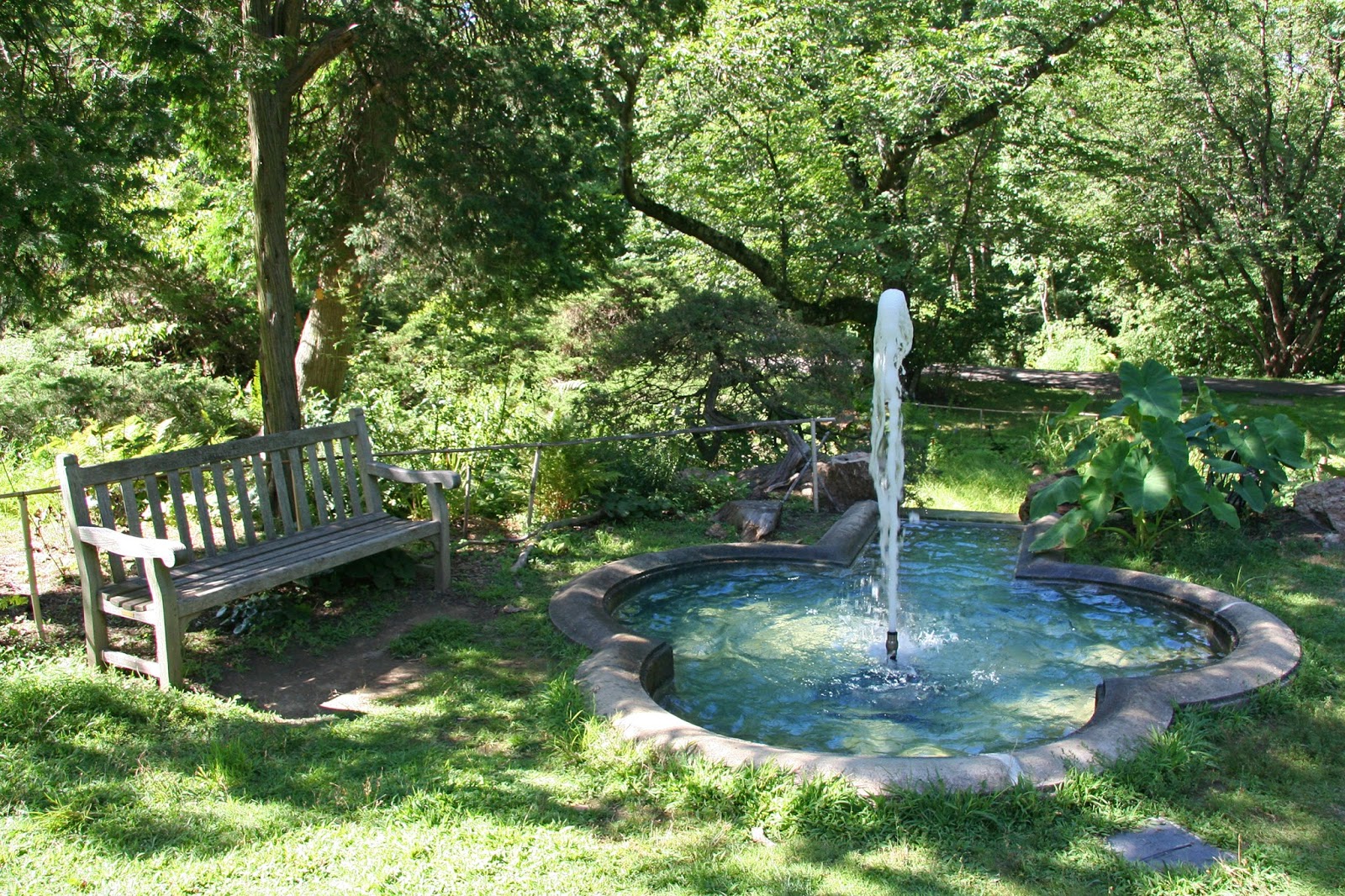 Morris Arboretum: Treat Yourself: The Perfect Solo Outing at Morris ...