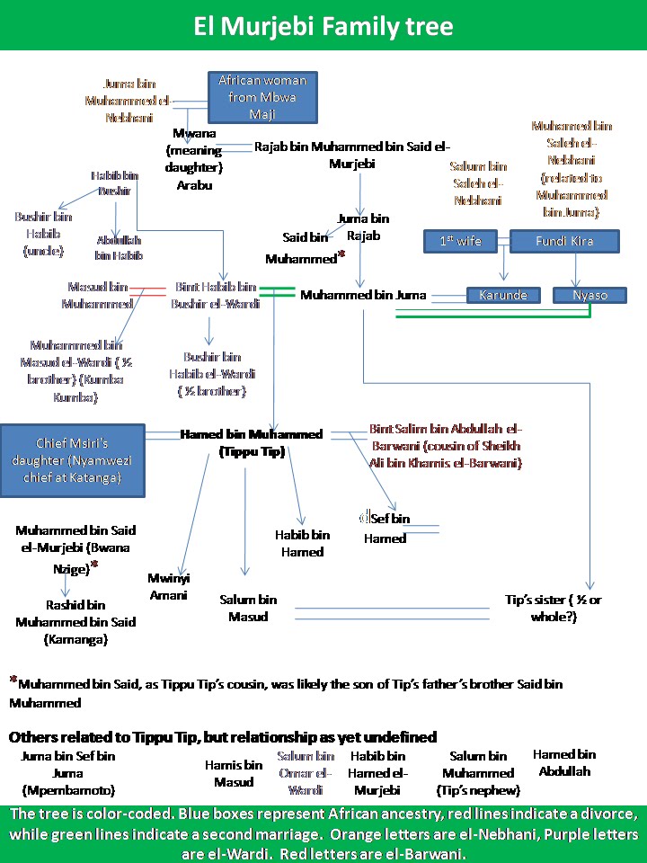 The Azanian Sea: Tippu Tip's family tree