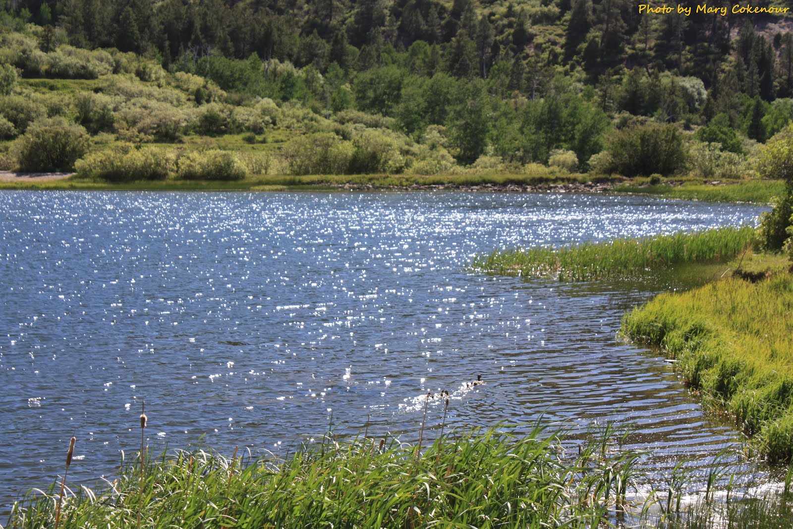 Food Adventures of a Comfort Cook: Hidden Diamonds in Monticello, Utah!