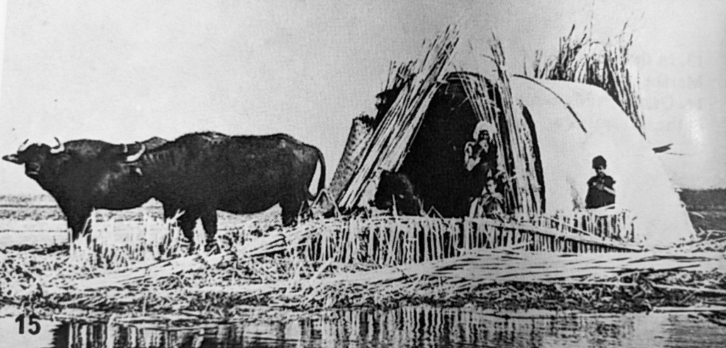 Indigenous Boats: The Boats of Iraq's Madan
