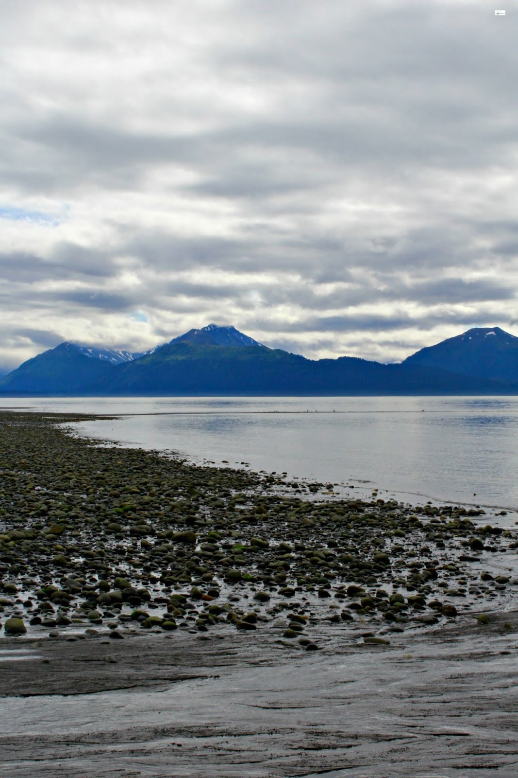 Bishop's Beach // Homer, Alaska | Caravan Sonnet