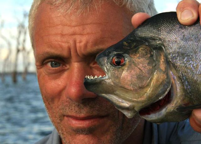 Mentes Imundas e Belas: Monstros dos rios por Jeremy Wade
