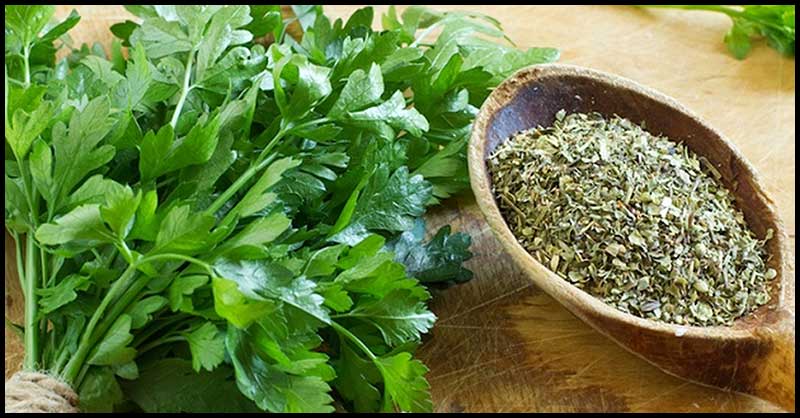 3 Great Parsley Teas Against Urinary Tract Infection (UTI) | Doctor ...