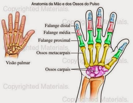 Desenvolvimento de uma mão biônica : Projeto dos dedos - Falange distal ...