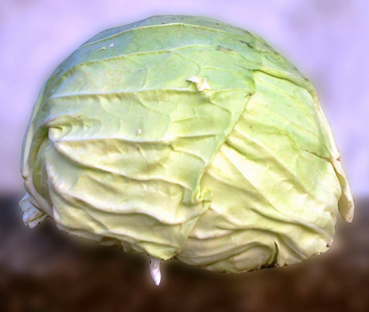 Kako sam napraviti : Kako ukiseliti kupus ribanac, recept