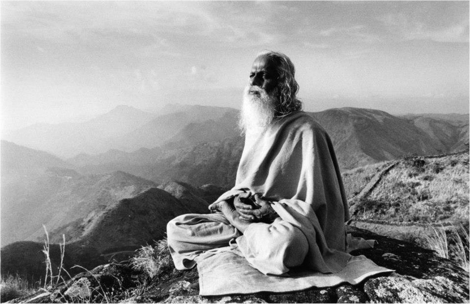 Sano, sano, requetesano: El verdadero yogui