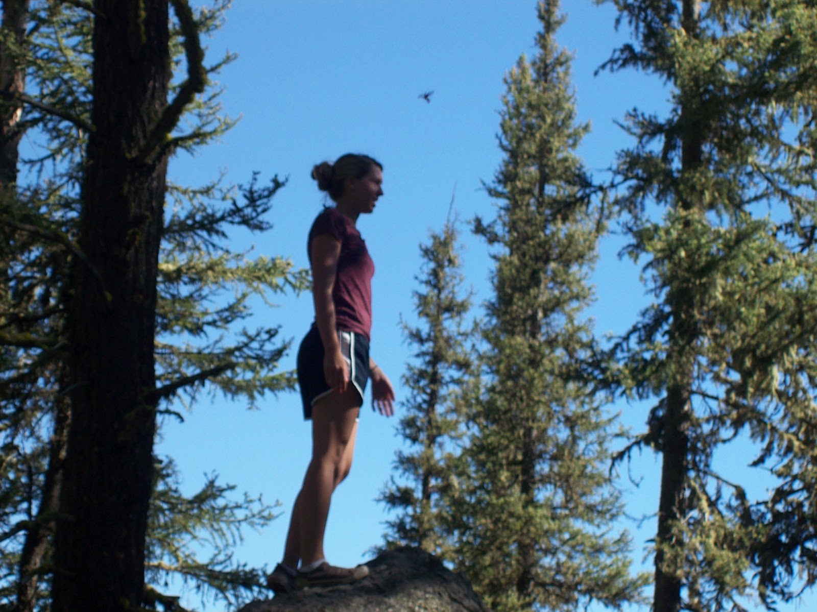 The Togisala Spot: Camping and Cliff and Wade Lake