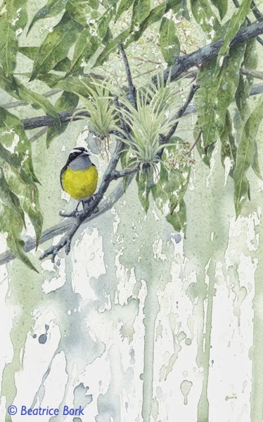 Artists' Gallery: Beatrice Bork in The Artists for Conservation ...