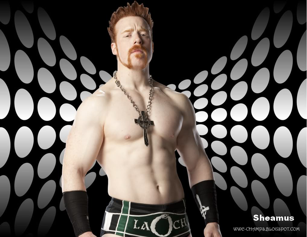 WWE CHAMPS: 'THE CELTIC WARRIOR' SHEAMUS