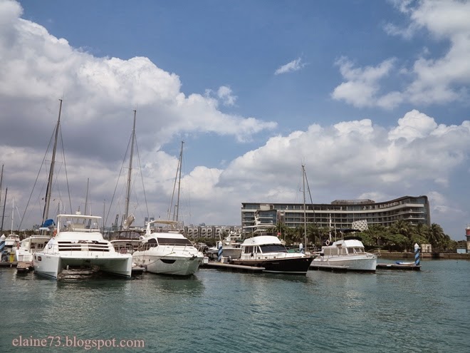 Ezann's Birthday Yacht Party - Sugar73 Ribbons, Rainbows and PixieDust ...