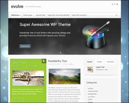 EVOLVE WordPress Teması - Temabiyotik