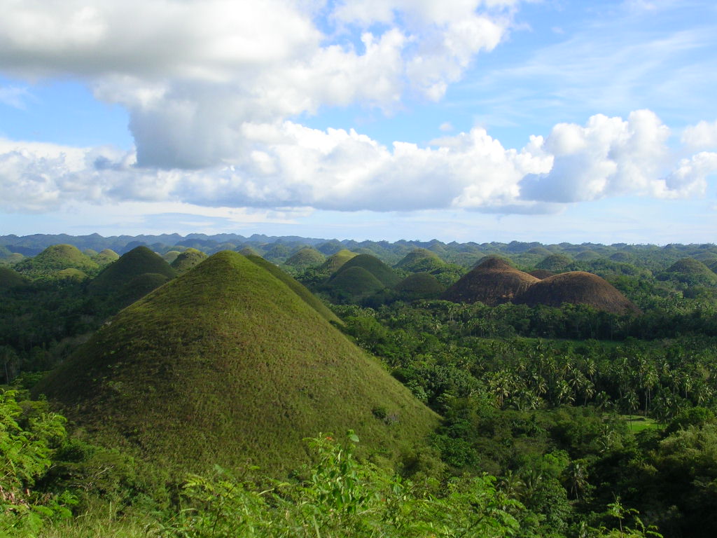 Nature of Bohol Island Philippines | Bohol Countryside Tours