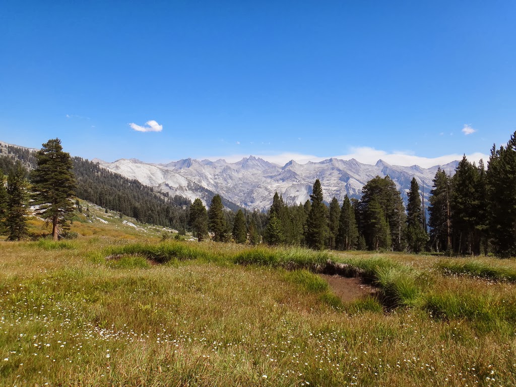 Alta Peak Via Alta Meadow WTC Experience Trip Meadow-Tacular! - First ...