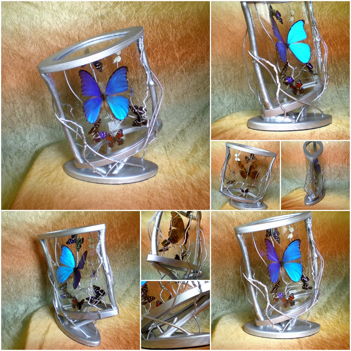 Fluturi Inramati : Tablouri si aranjamente 3D din fluturi naturali ...