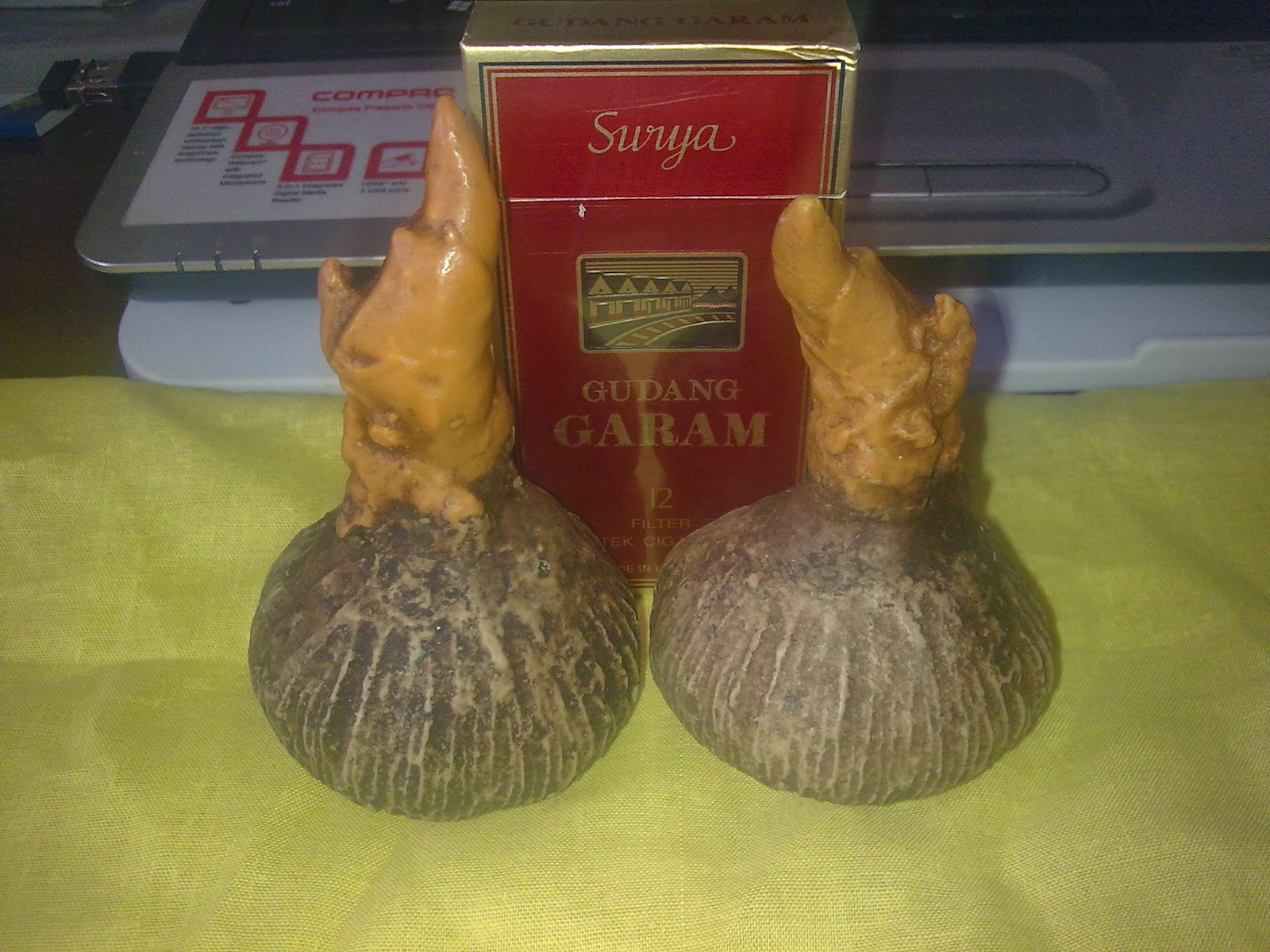 REALITY DAN FANTASI: GELIGA DAN BUNTAT