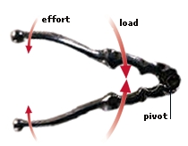 Technology Grade 7 : Seshupo Primary School : Group 4: Week 5: Second ...