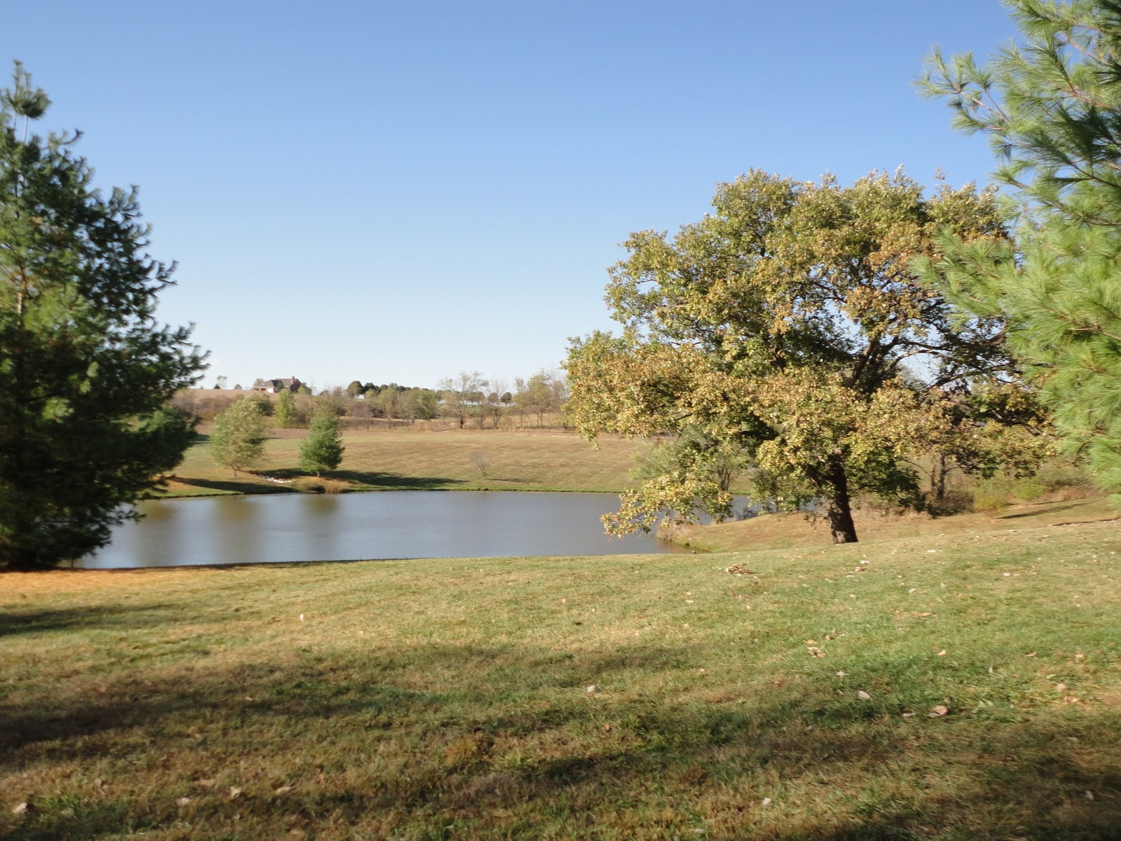 Fresh Air Farm..... where love is in the air!
