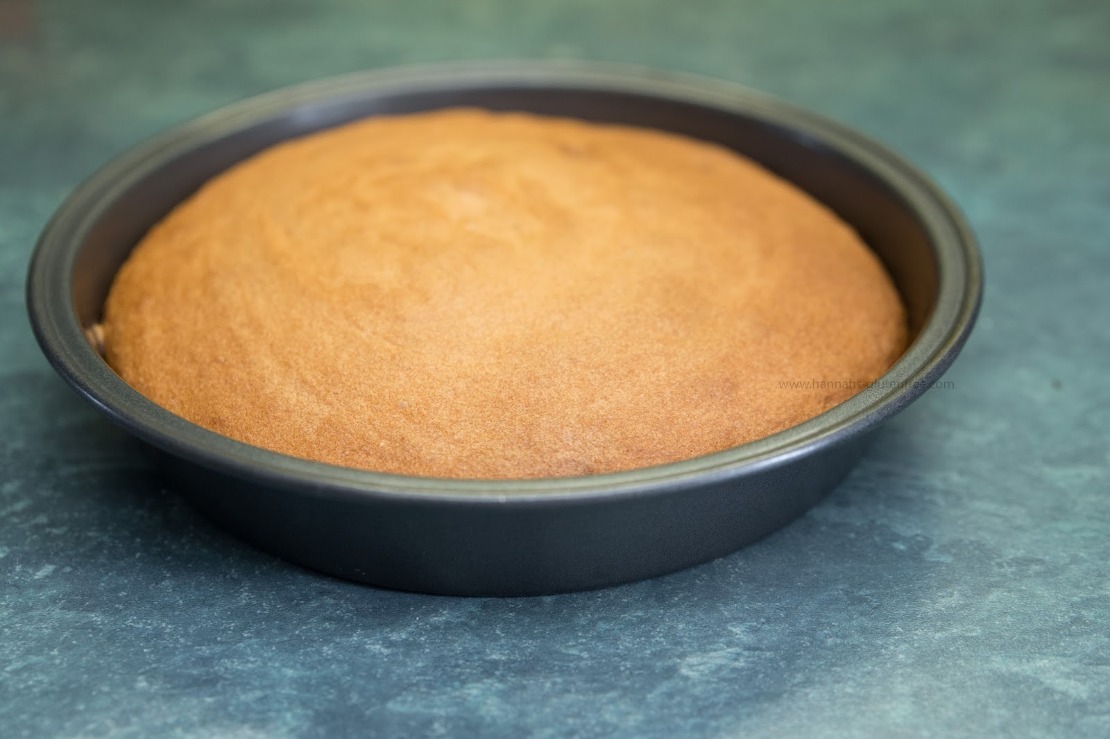 Hannah's Gluten Free : Delicious Alchemy - Vanilla Sponge mix*