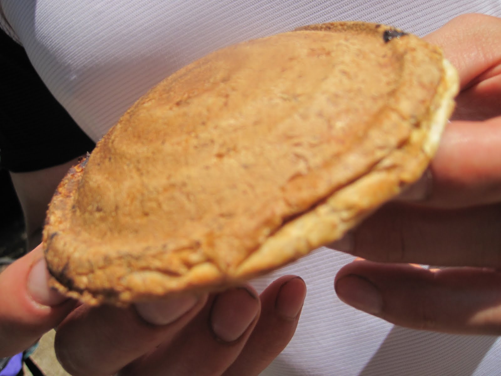 don't go breakin my tart: Bush Pies!