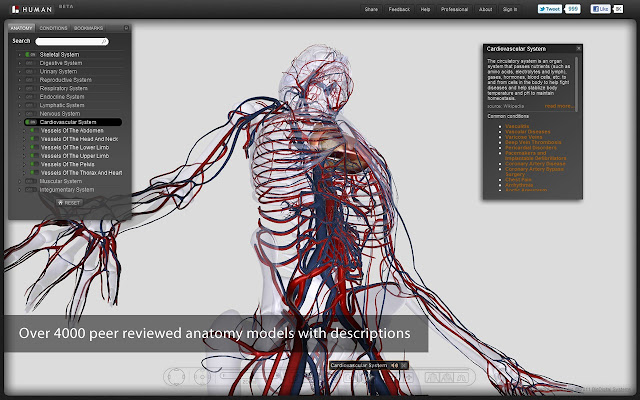 Digital human anatomy at its best! | SIDDHADREAMS