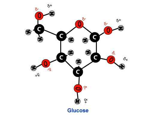 PPT - 2.2 Water PowerPoint Presentation - ID:6361297