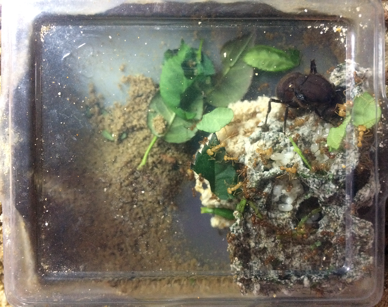 4.bp.blogspot.com on reddit.com