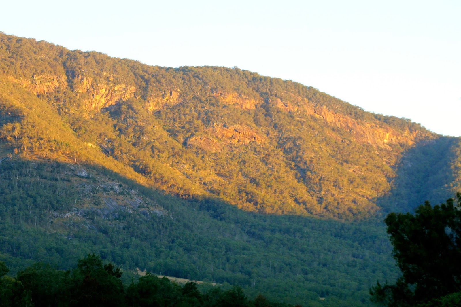 6Ps: Australian Colour