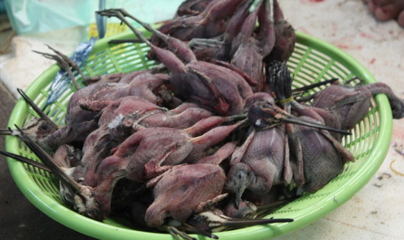 toko oleh oleh khas balikpapan: Makanan Khas Kamboja