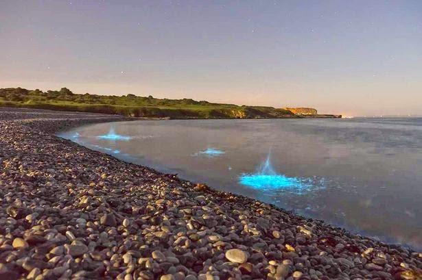 Cientistas estão perplexos com a descoberta de plâncton no espaço ...