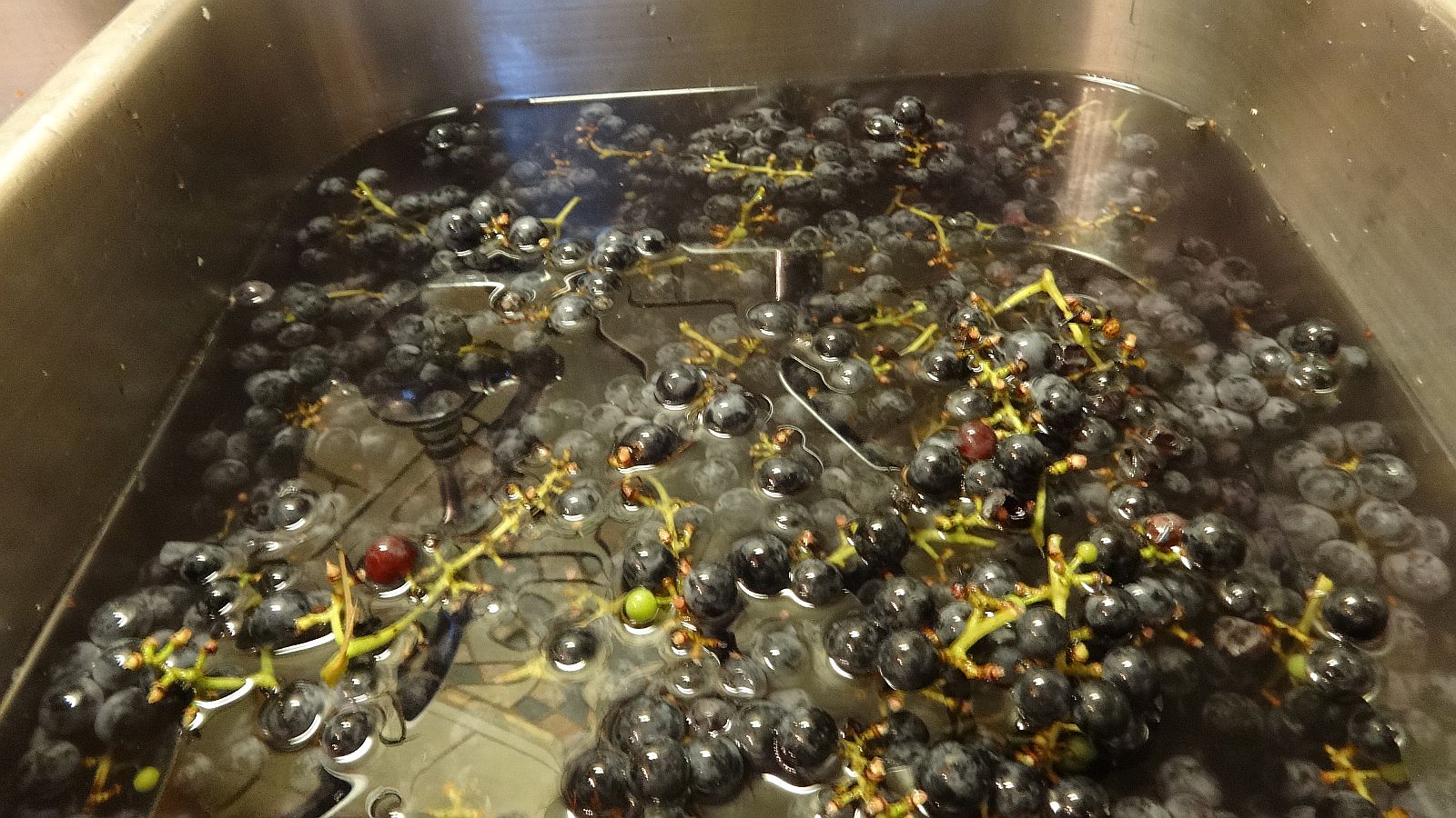 Gelée de raisins Concord ~ Famille Pou