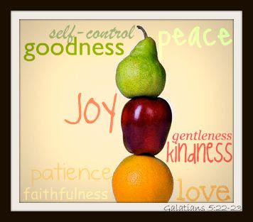 The Characters And Fruits of a Christian Life