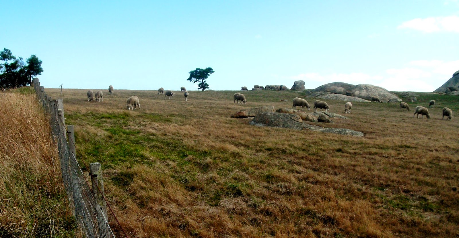 Geelong Visual Diary: Dog Rocks Batesford