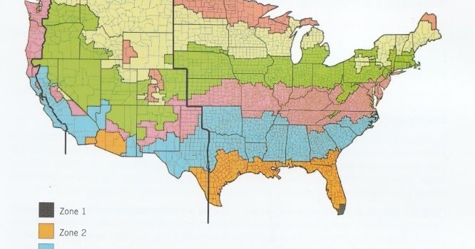 Salukitecture: Sustainable Facades