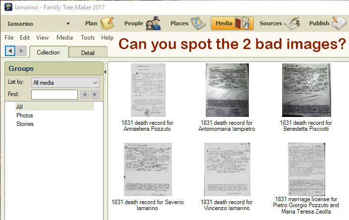 Fortify Your Family Tree: 6 Steps to Make Your Family Tree 10 Times Better